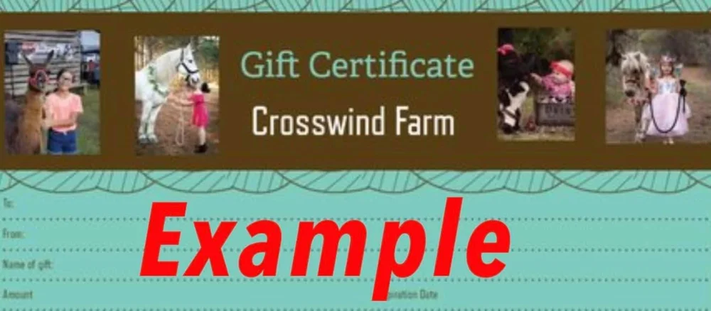 Services — CROSSWIND FARM