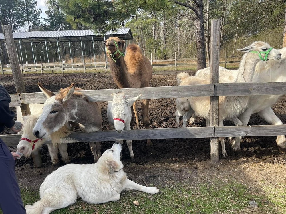 Services — CROSSWIND FARM