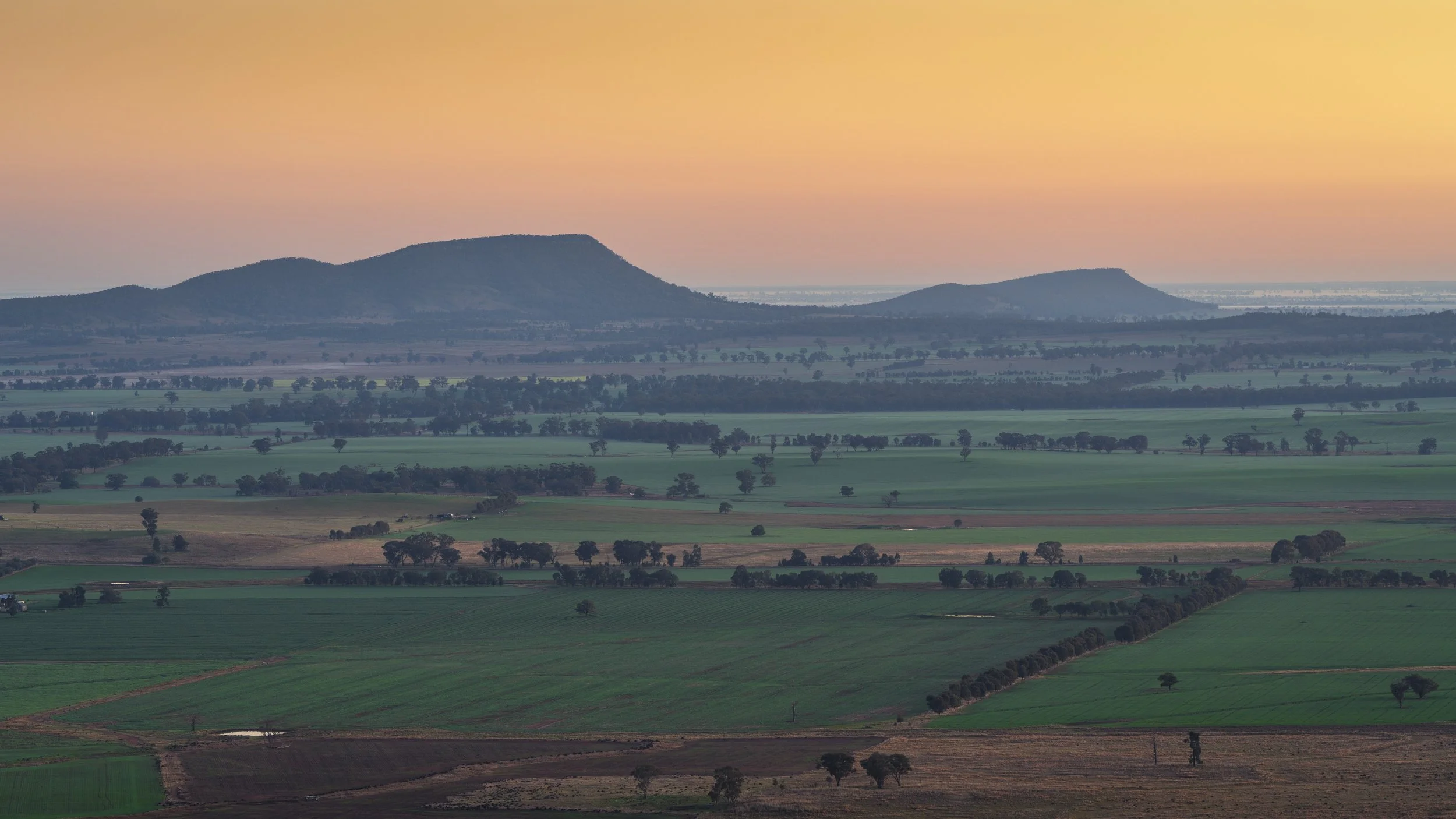 Weddin Sunrise — trevsci
