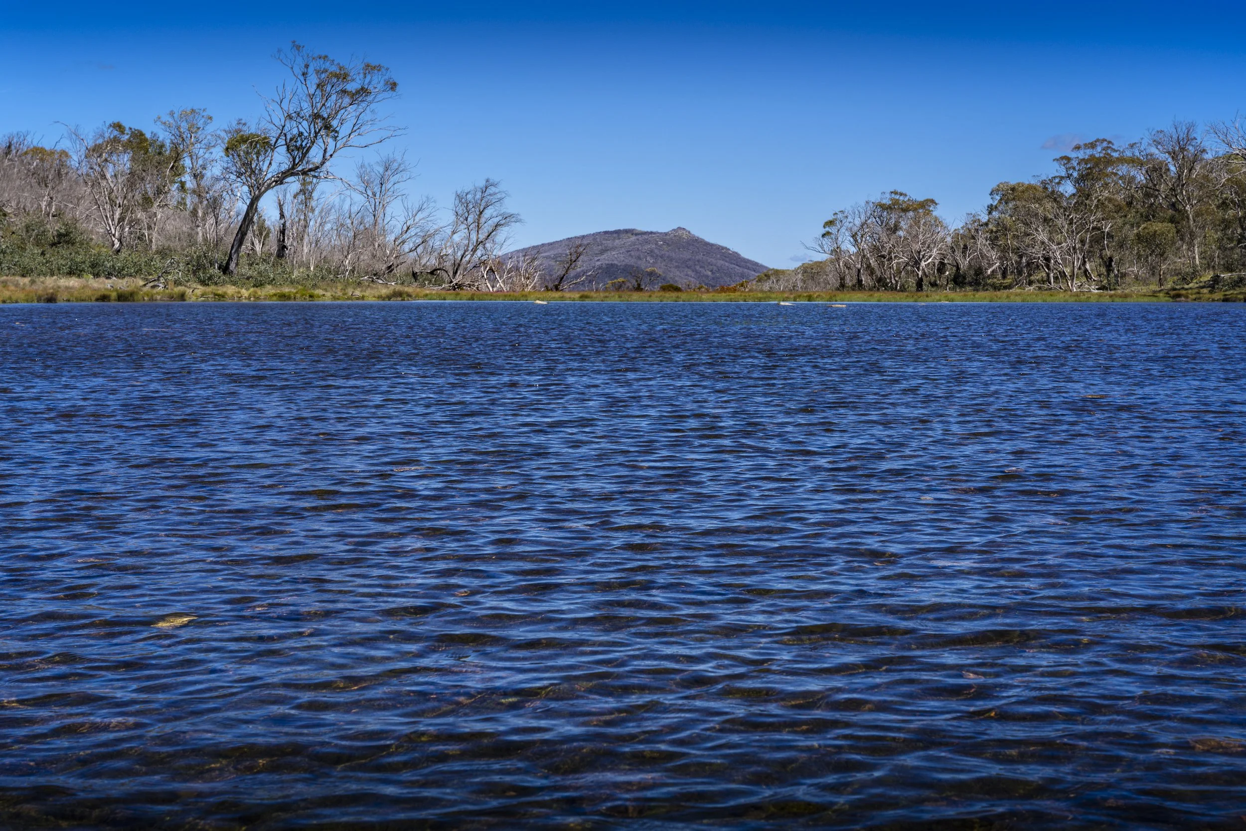 Scabby Tarn — trevsci