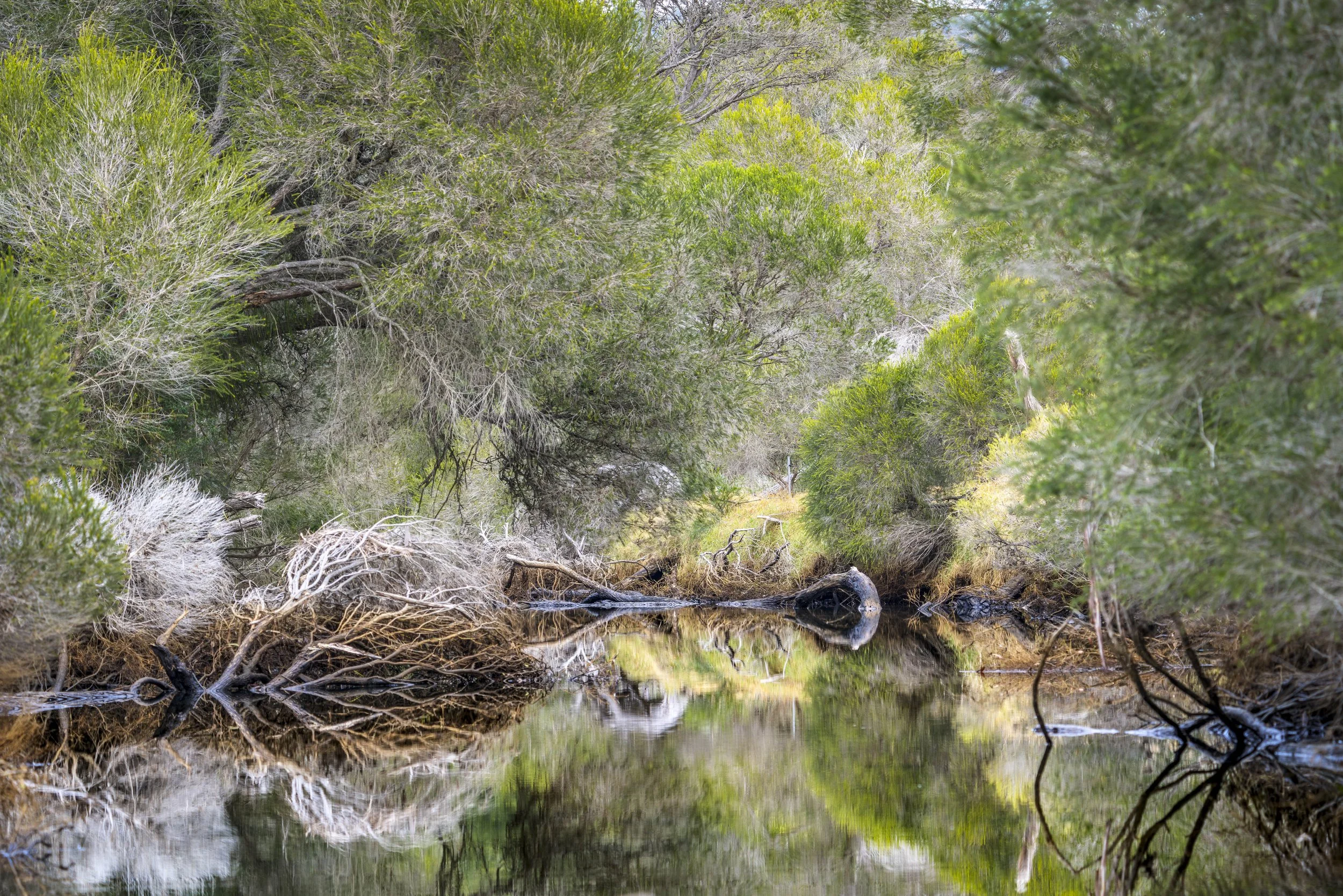 Pambula River — trevsci