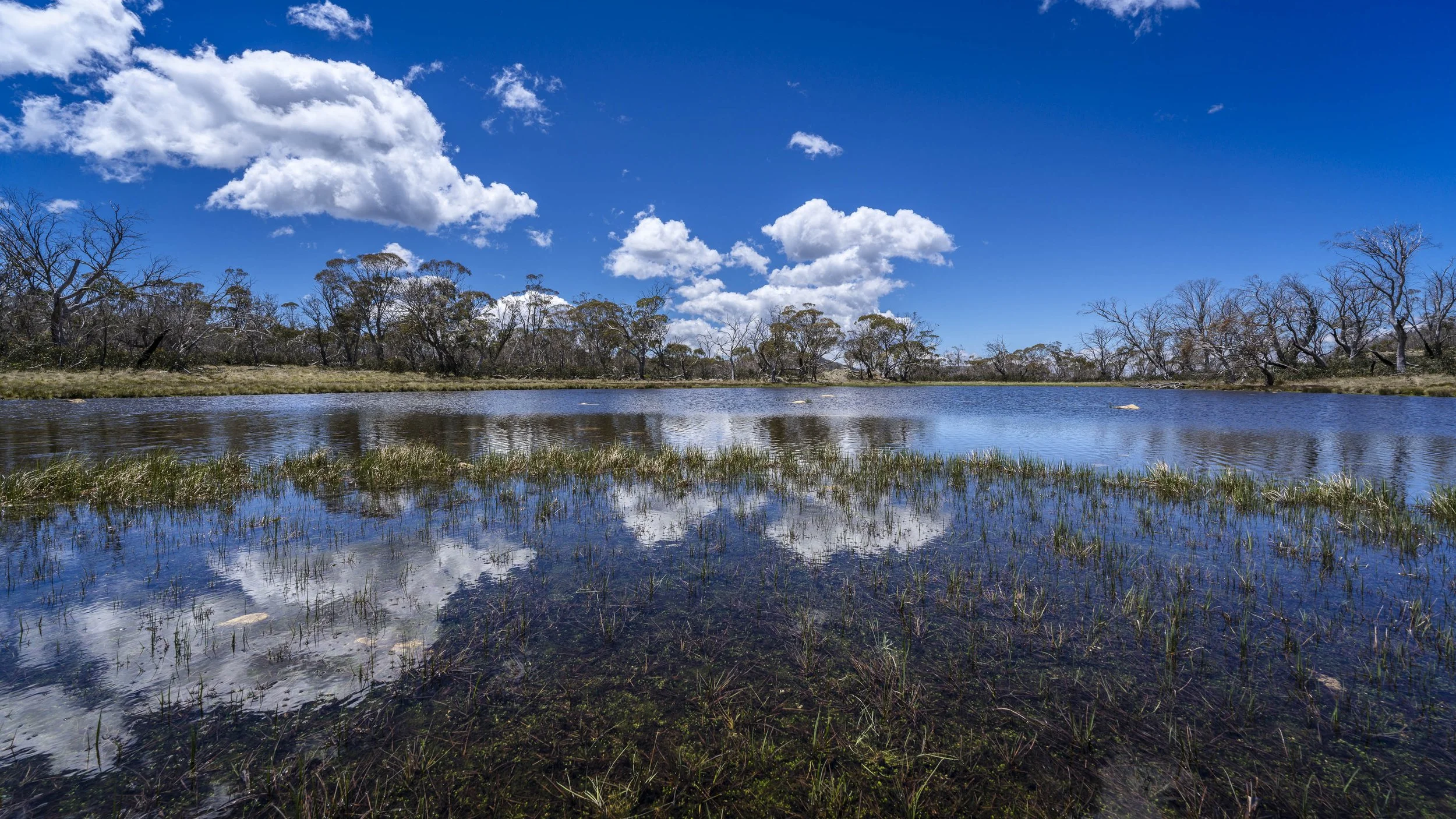 Strolling in Southern Namadgi — trevsci