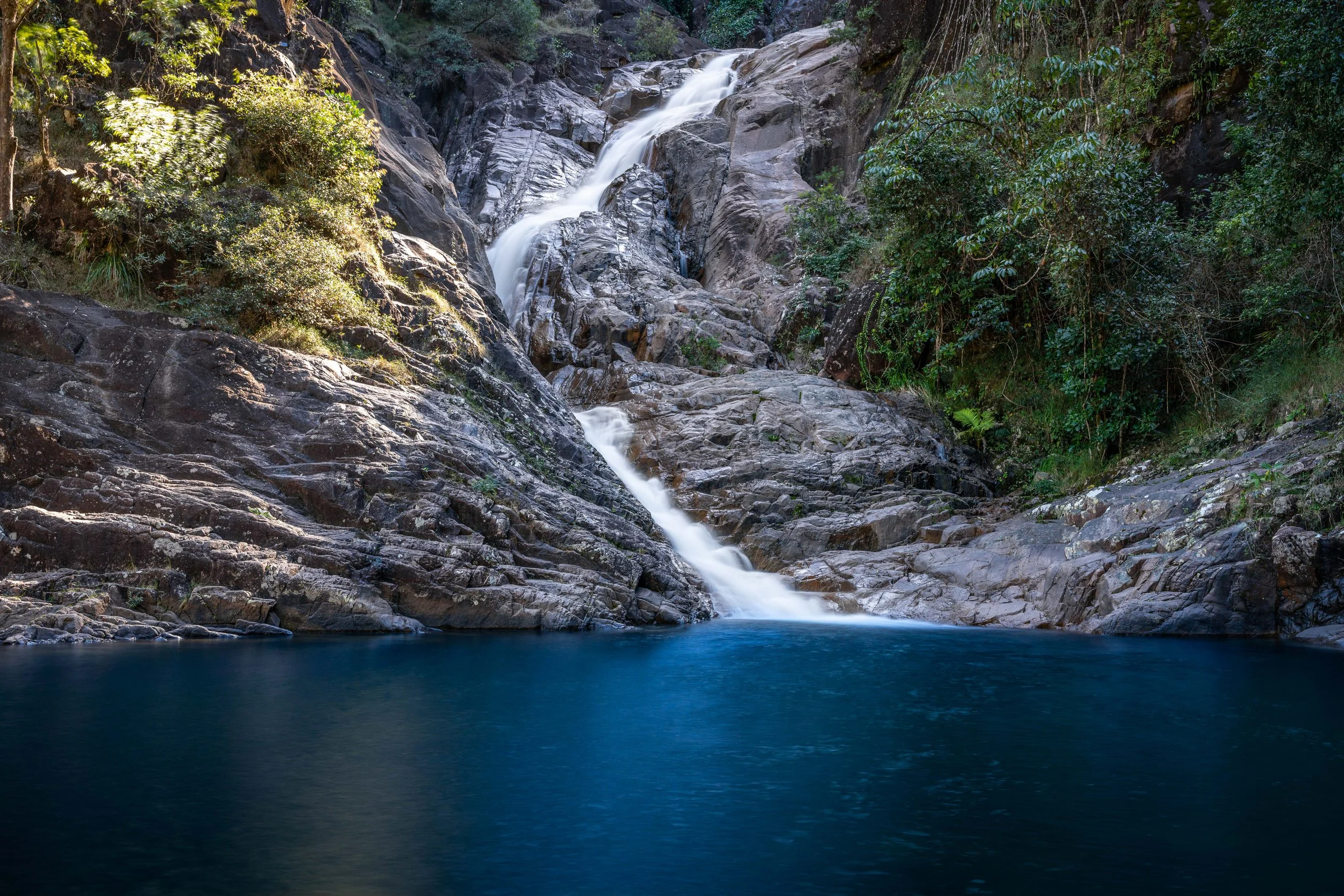 Finch Hatton Gorge — trevsci