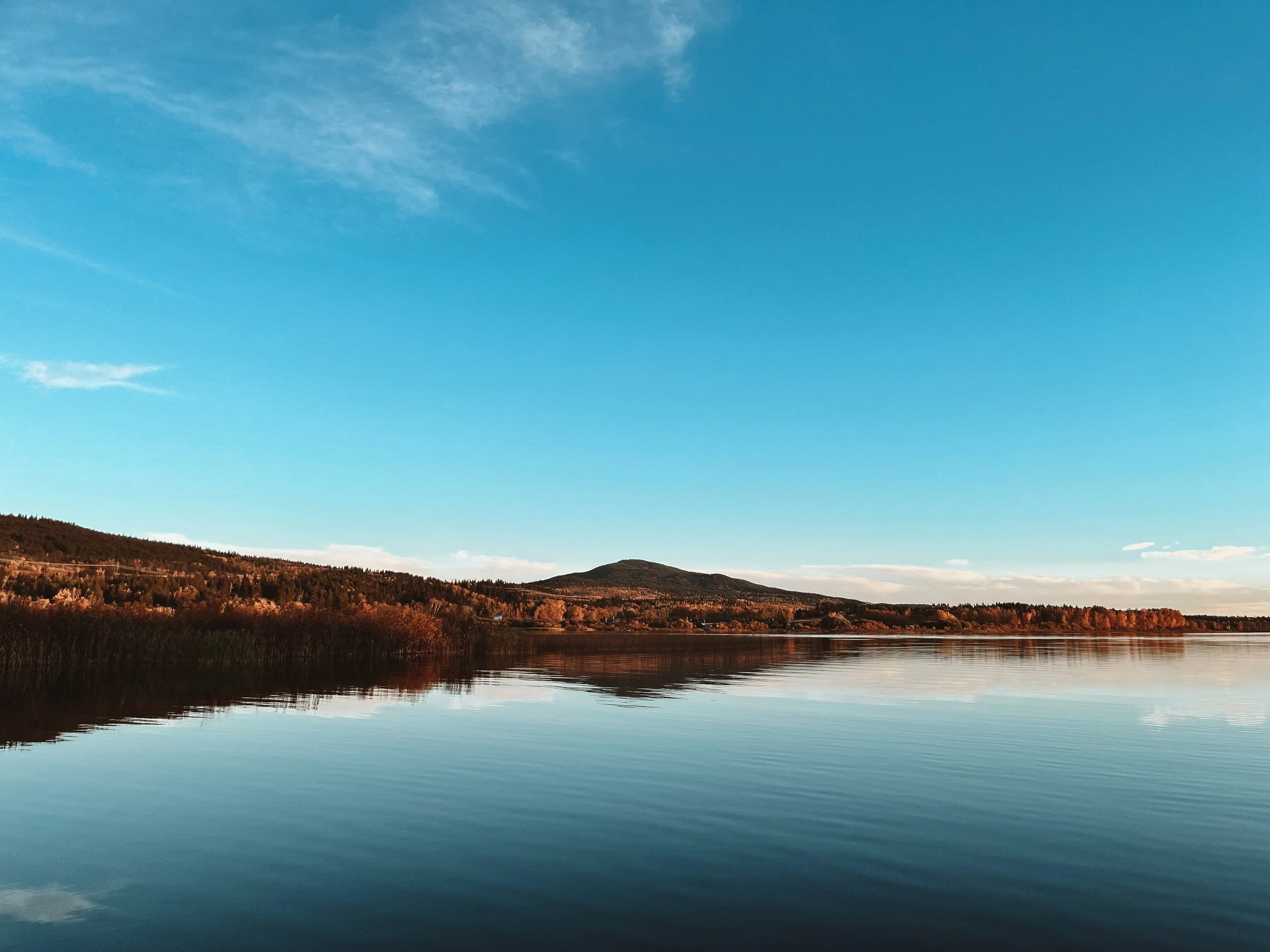 Map & Rates — Roberts Roost Resort