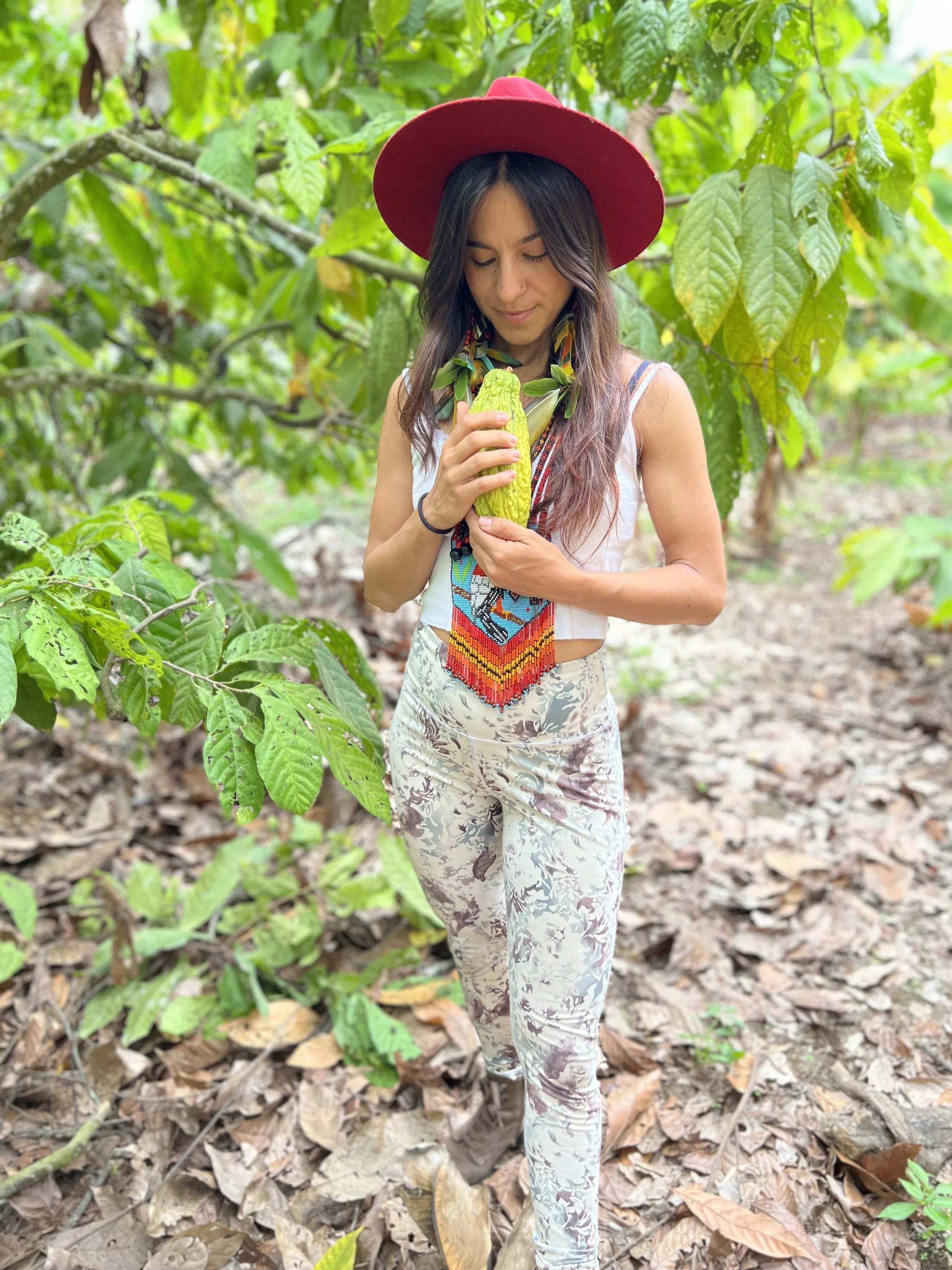 Retreat in the Amazon Jungle with the Sápara Nation — FLORECER