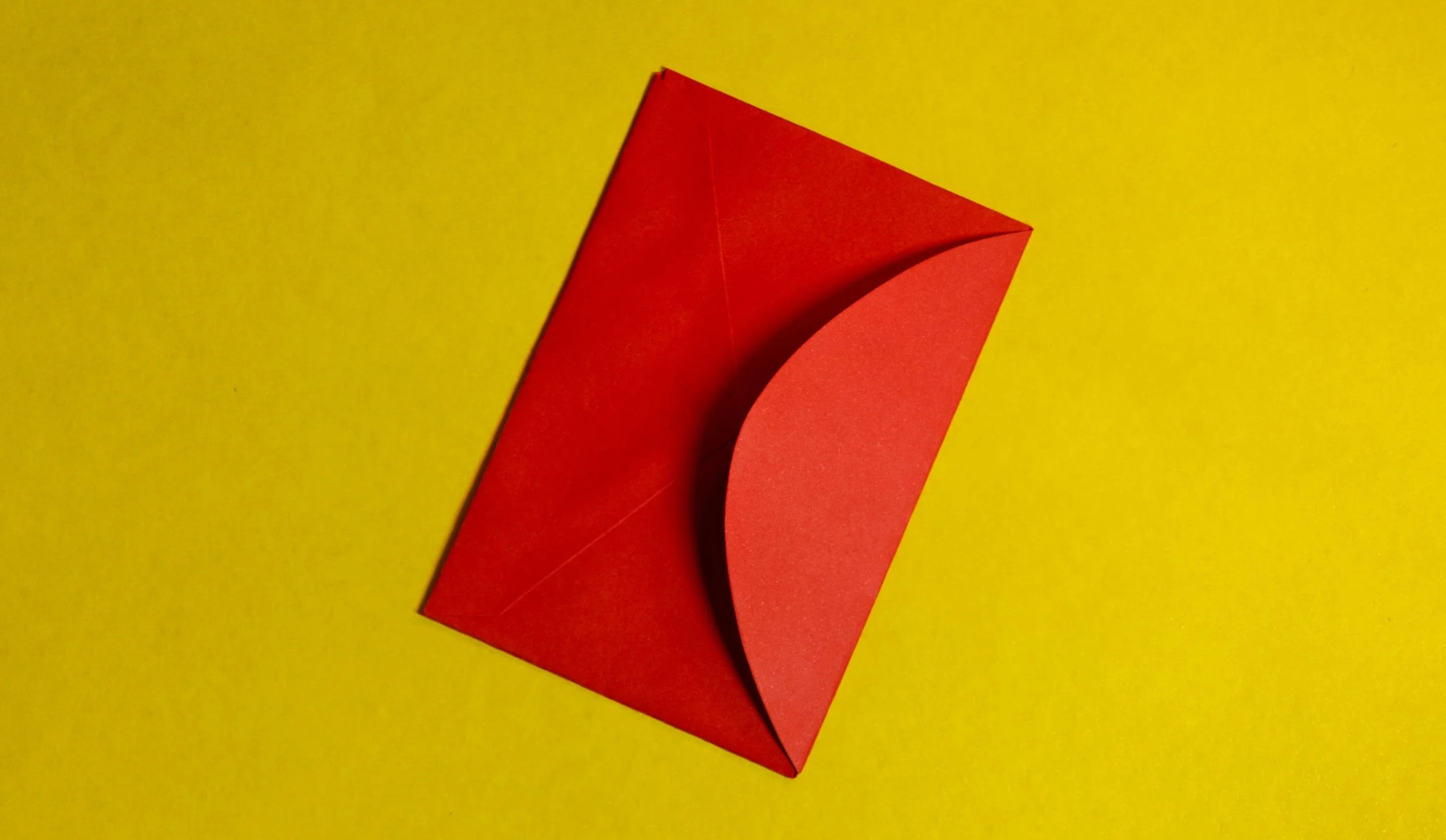 Dear Patrick — Emma Pignatiello