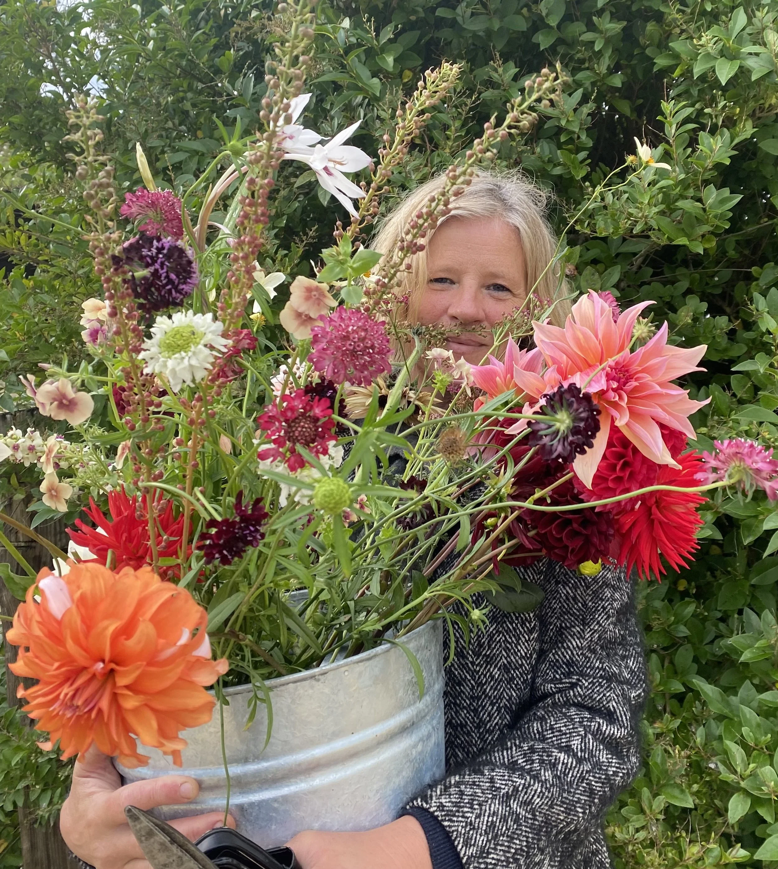 Pick Your Own Flowers — Pied Beauty Flowers
