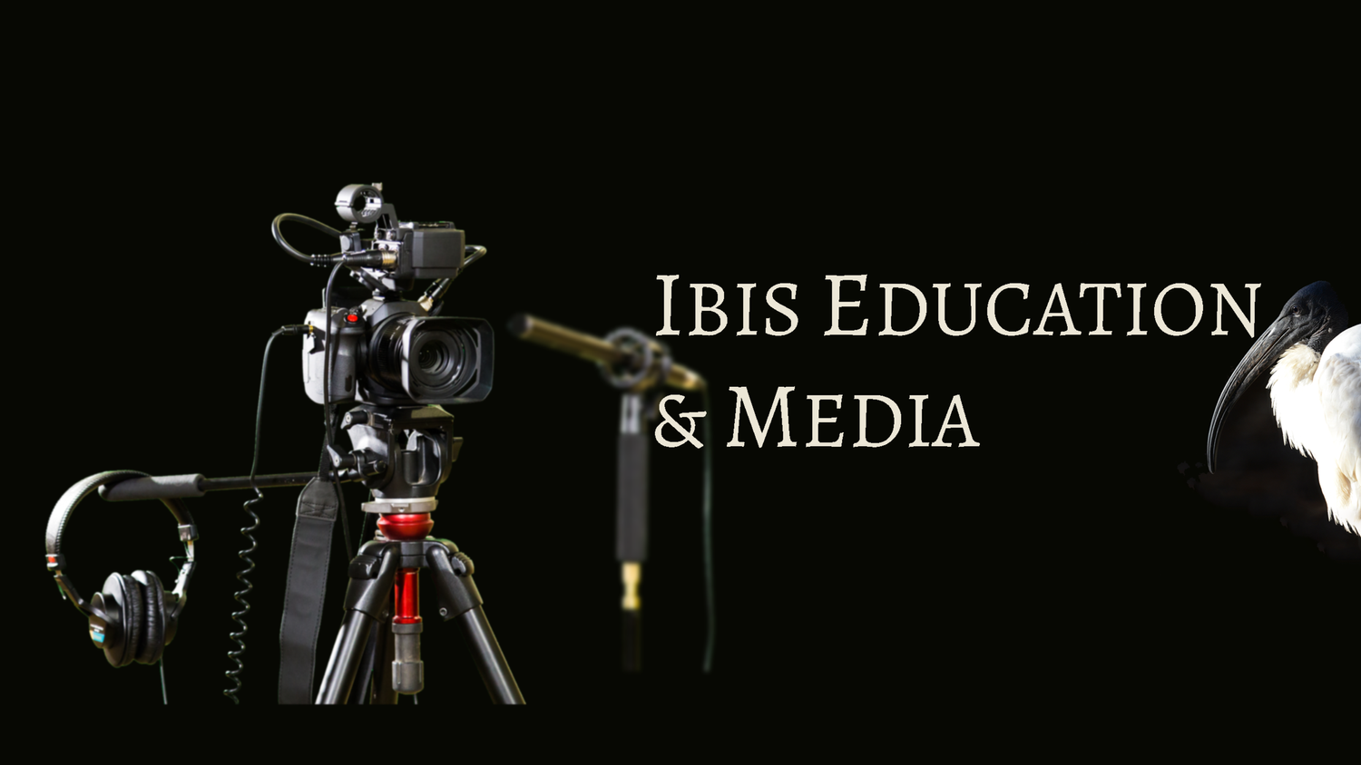 Ibis Education & Media