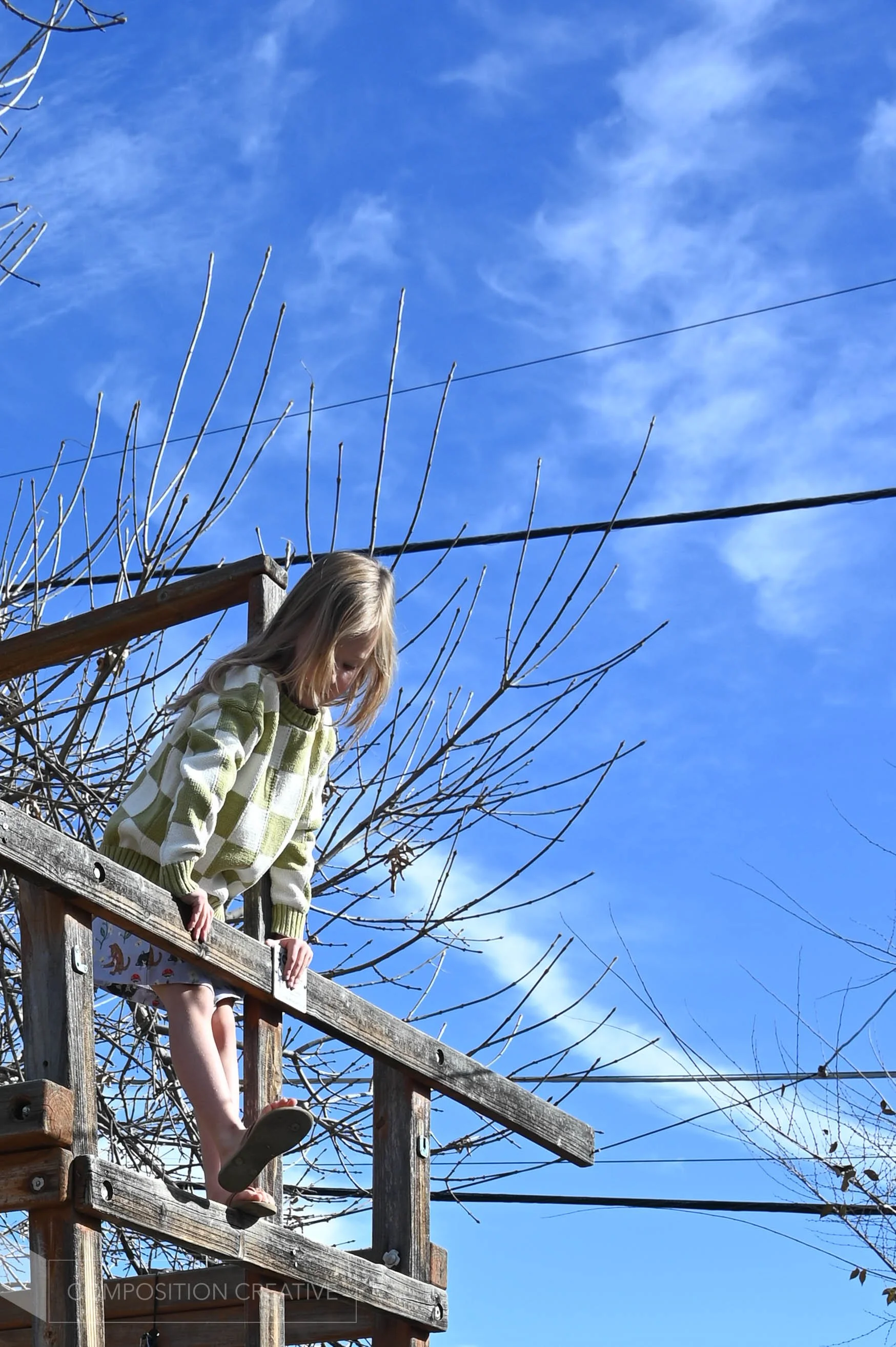 FAMILY PHOTOGRAPHY INTAKE FORM — Composition Creative, LLC