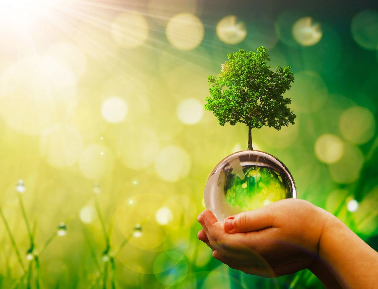 Leaves of Life Integrative Wellness | Natural Healthcare Alternatives