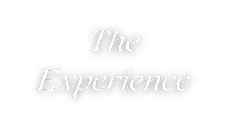 Intro to Spirituality Program — Integrated Wellbeing