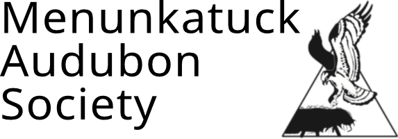 Lights Out Connecticut