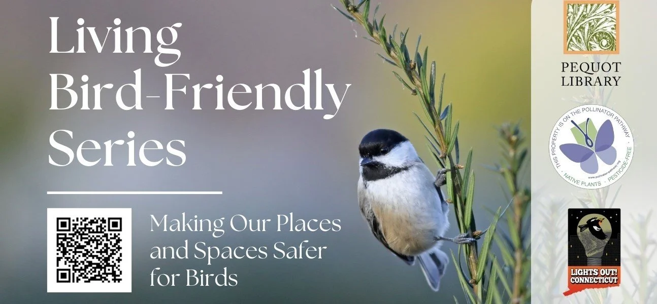Living Bird-Friendly Series: Making Our Places & Spaces Safer for Birds ...
