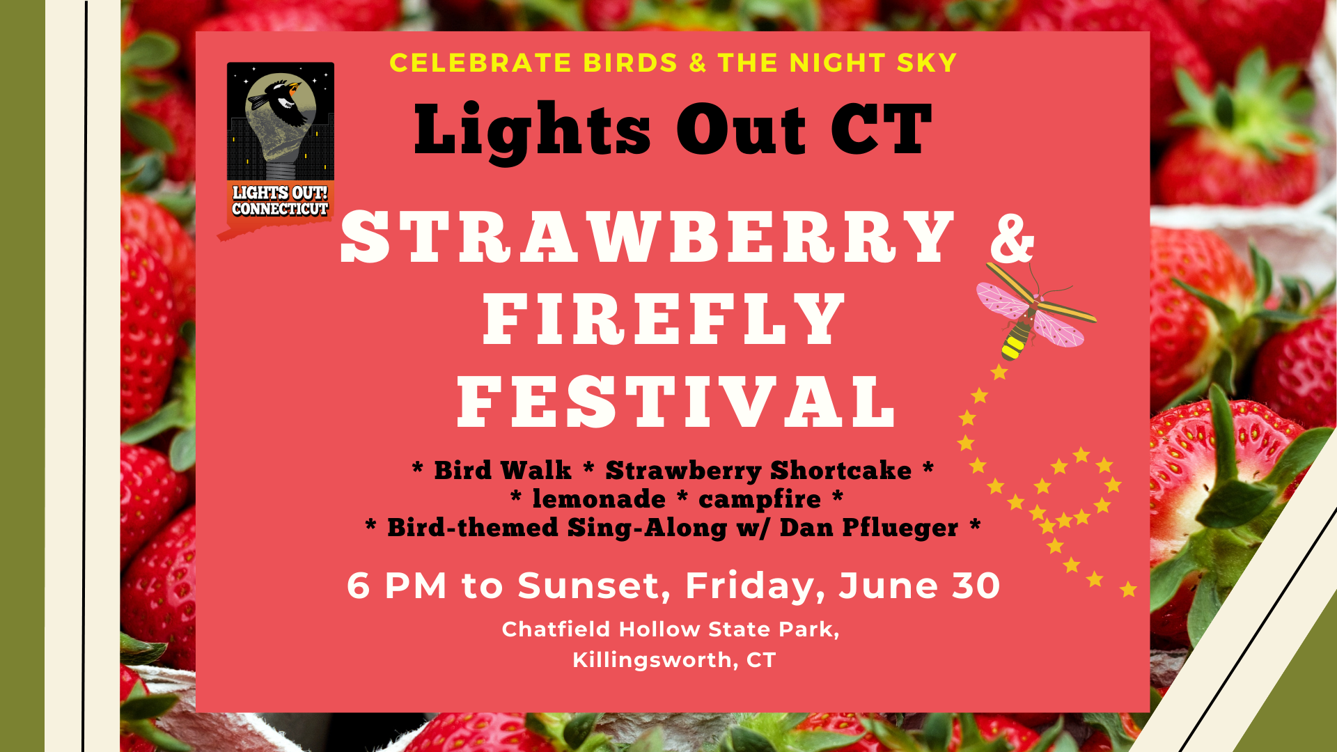 RSVP - Lights Out CT Strawberry & Firefly Festival — Lights Out Connecticut