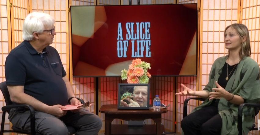 Lights Out Connecticut