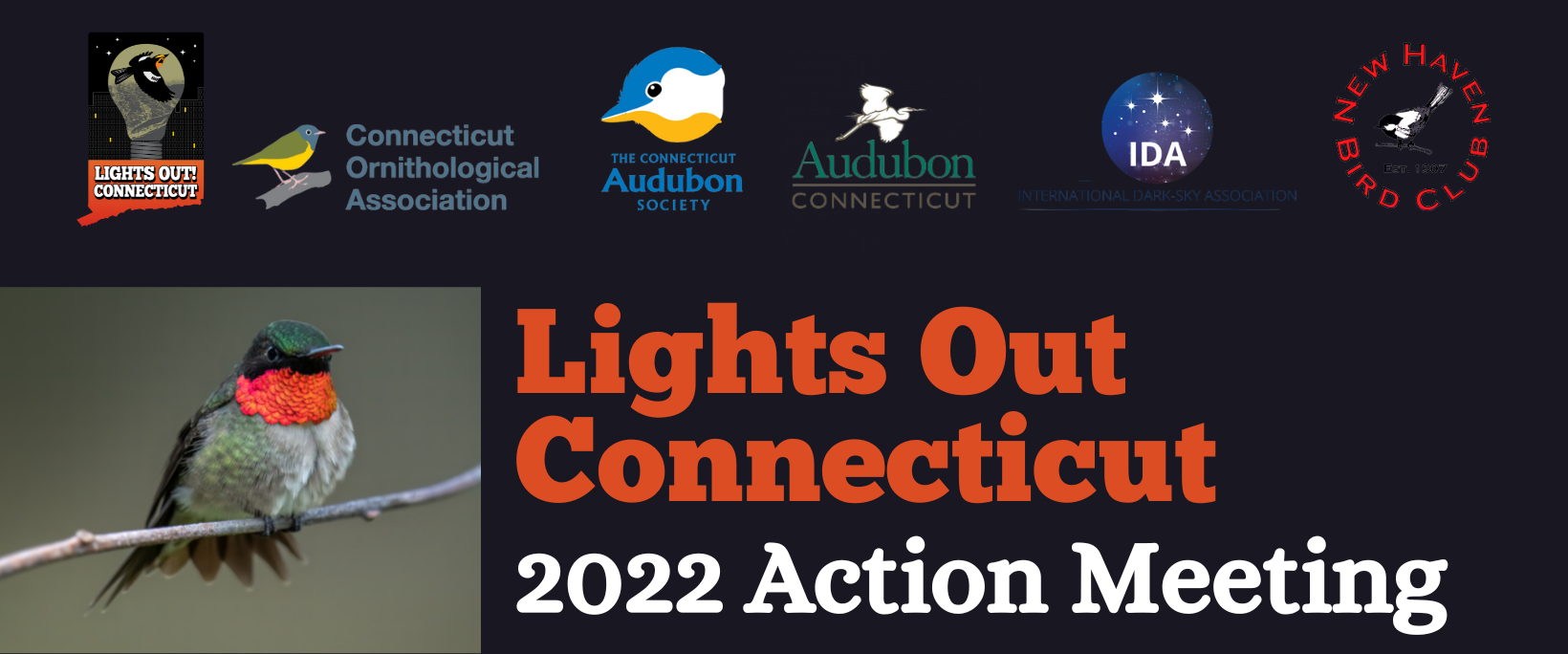 Lights Out Connecticut 2022 Action Meeting — Lights Out Connecticut