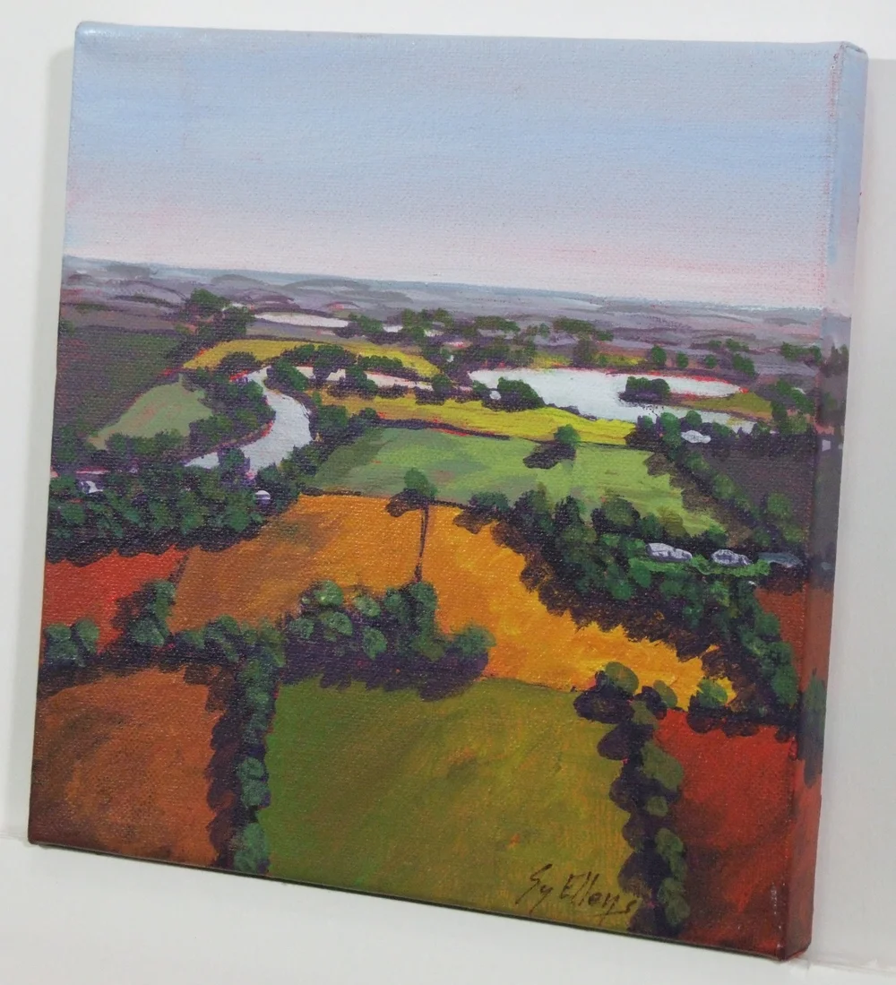 Back Fields — Sy Ellens, artist