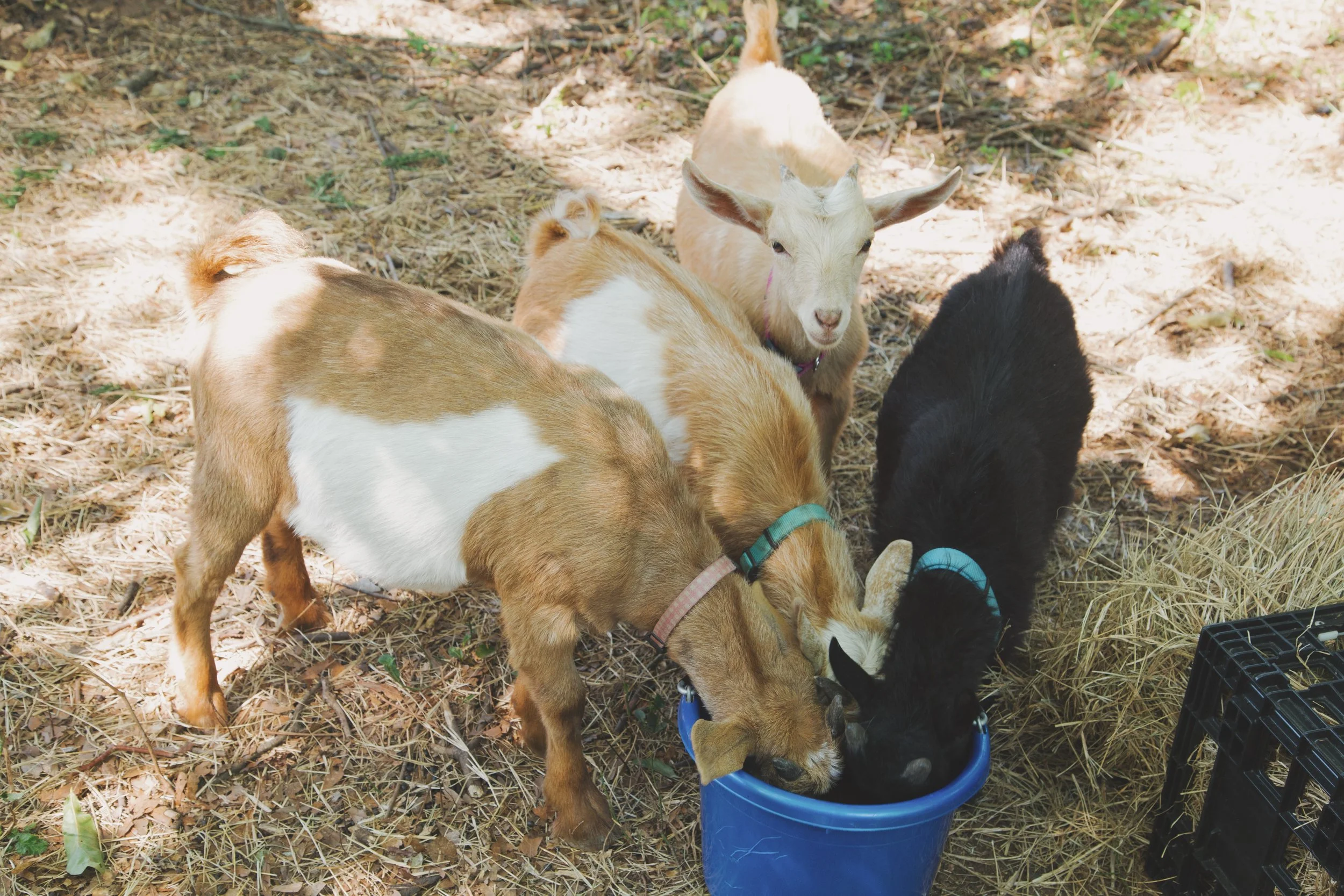 Atlanta Utility Works