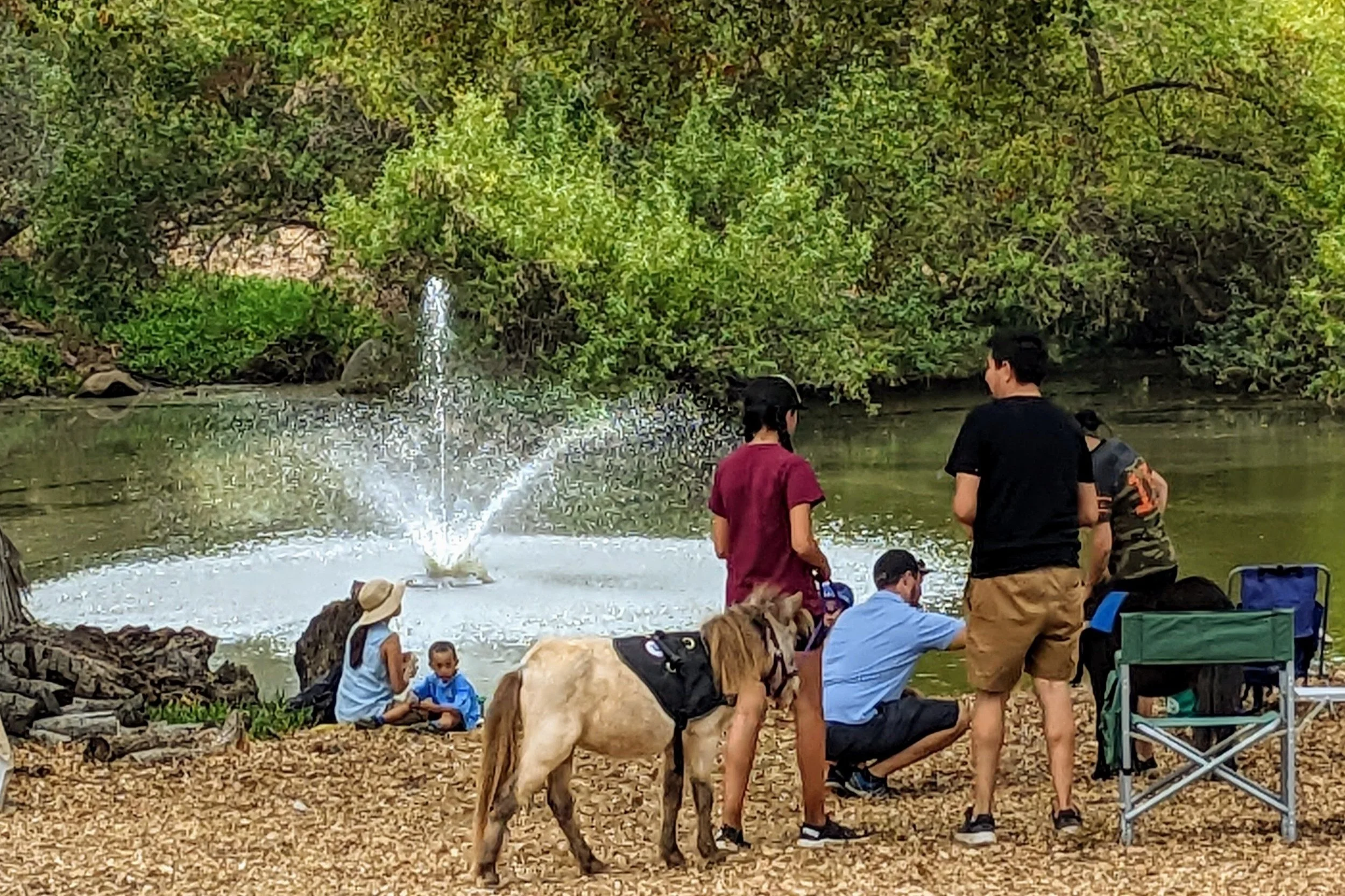 Valley Center Trails Association