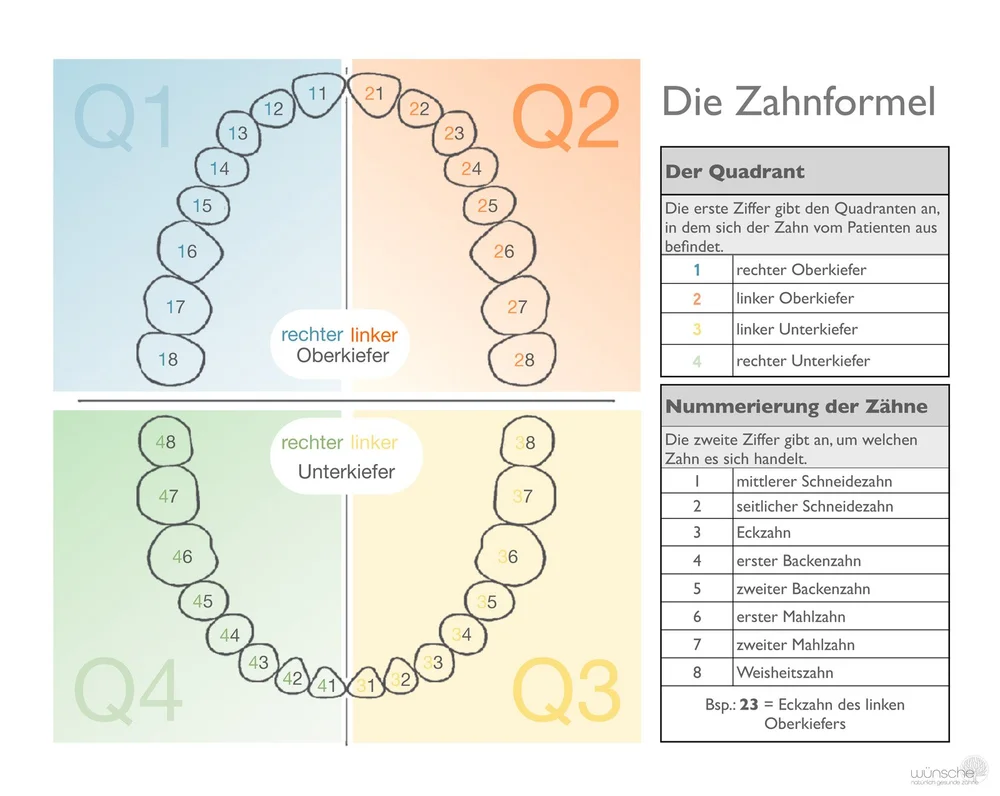 Spirituelle und psychologische Aspekte der Zahnheilkunde ...