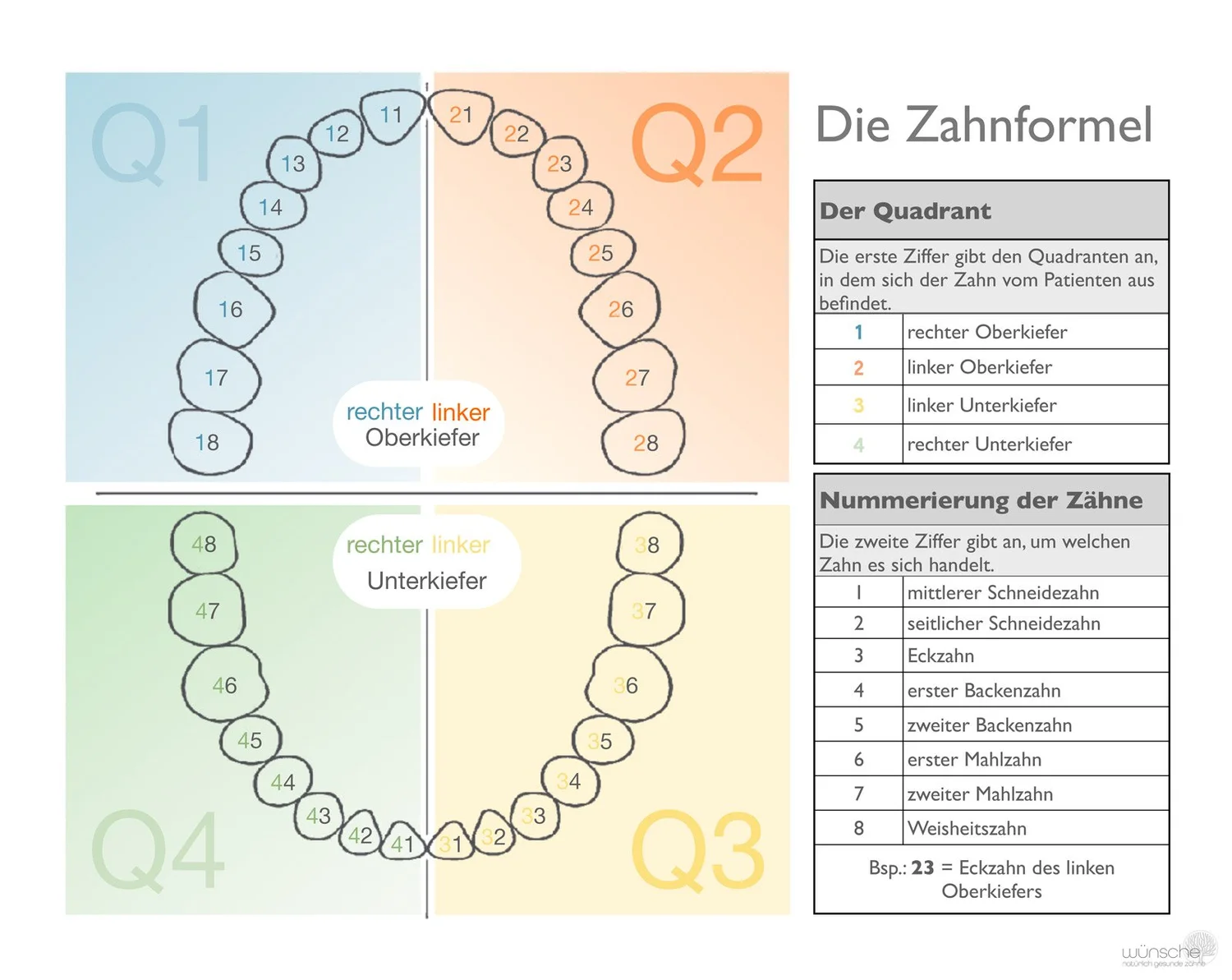 Spirituelle und psychologische Aspekte der Zahnheilkunde ...