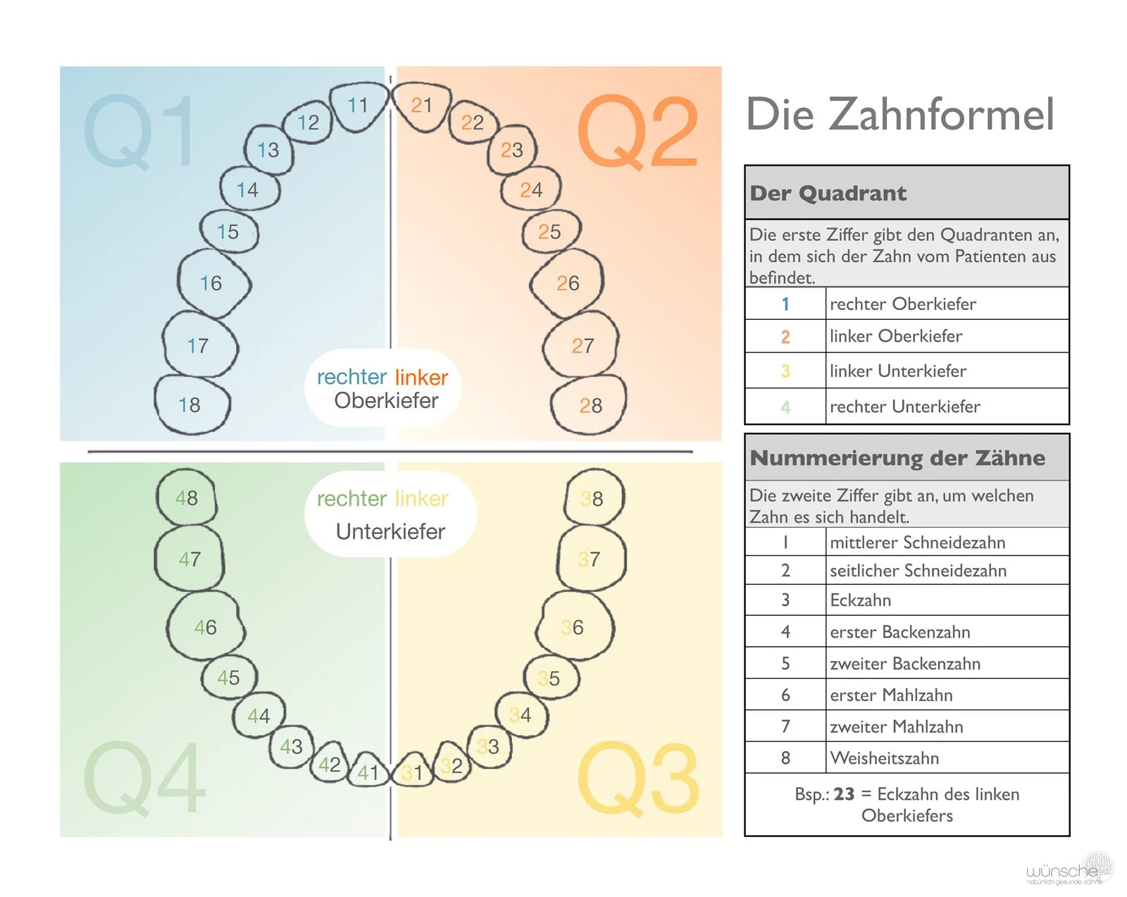 Spirituelle und psychologische Aspekte der Zahnheilkunde ...