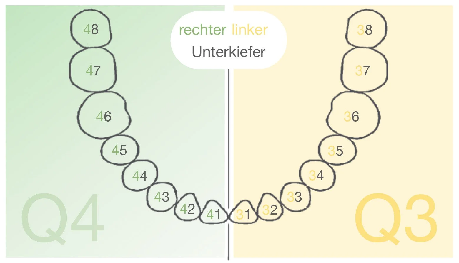 Zahn 17: Spirituelle Bedeutung und seine Verbindung zur Psyche – Zähne ...