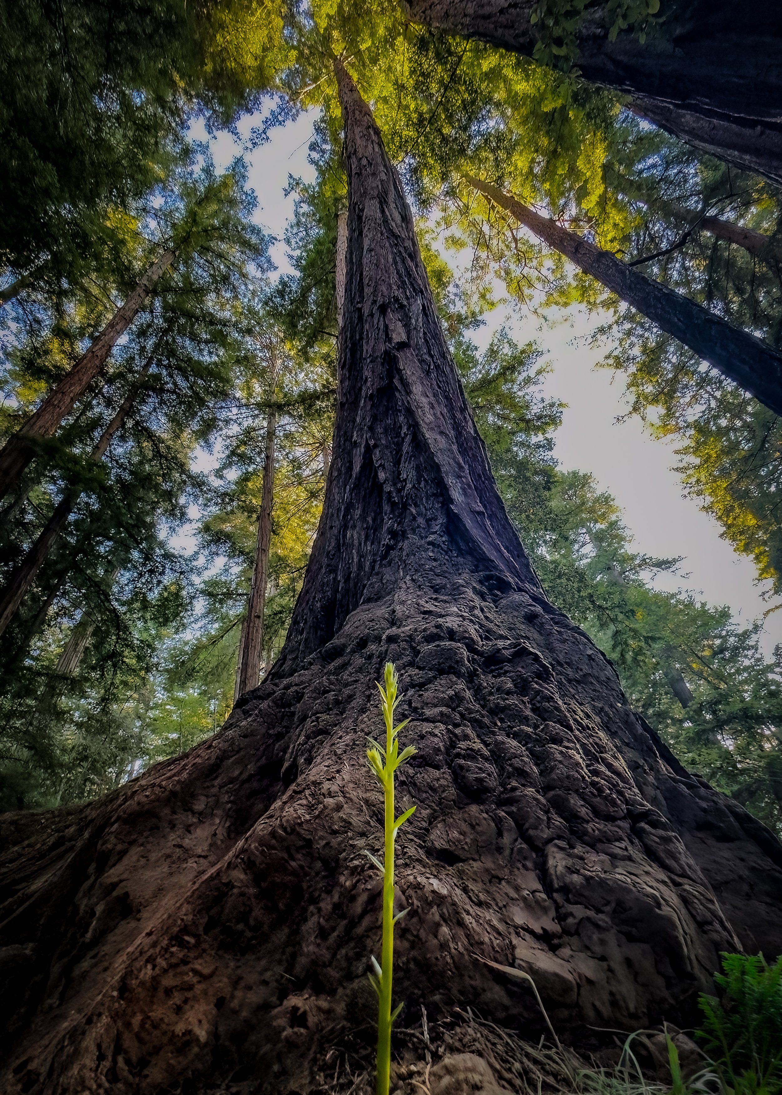 Bodies In Time: A Practice Group Circle Back — kinship