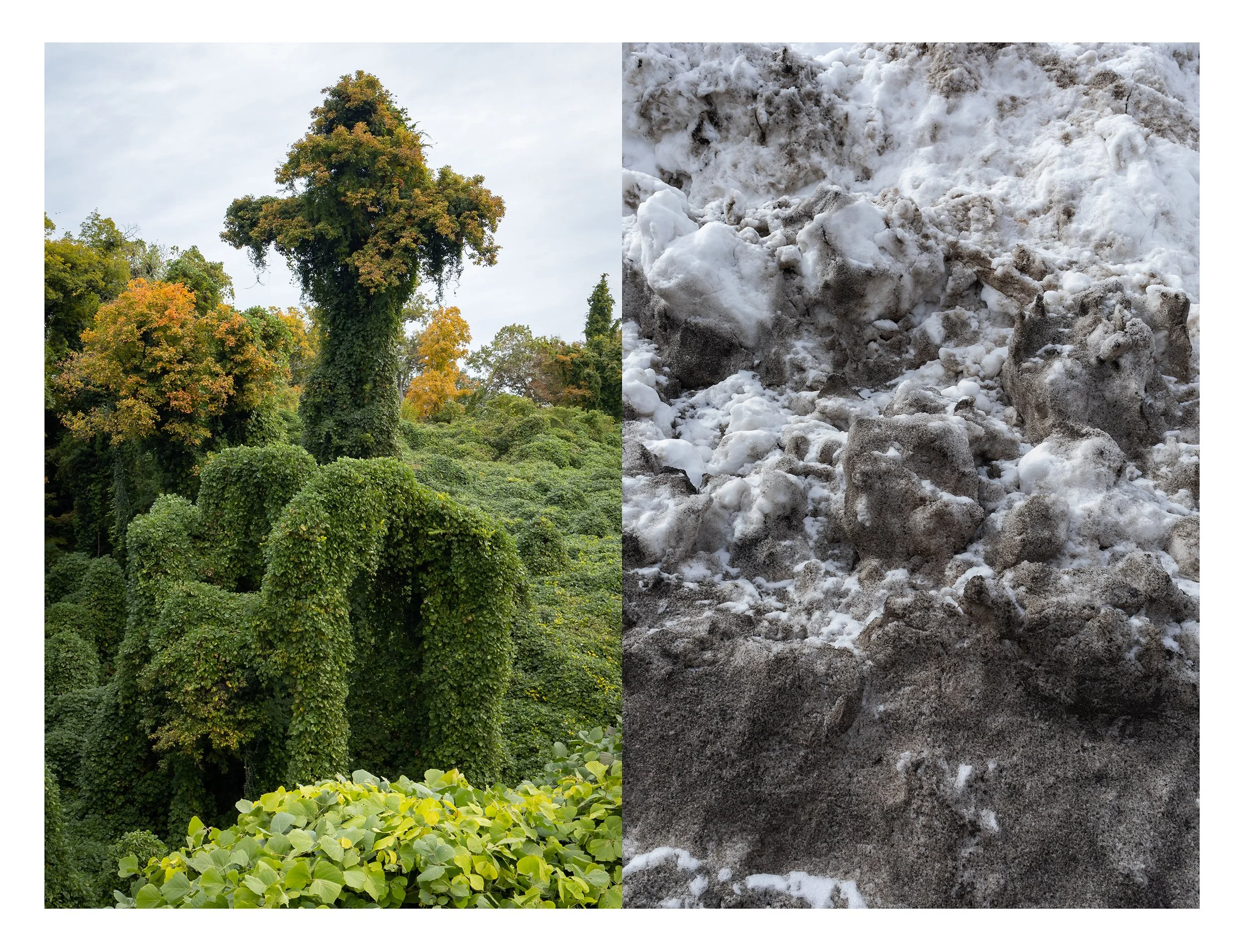 Split Focus: Reimagining the American Landscape with Morgain Bailey and ...