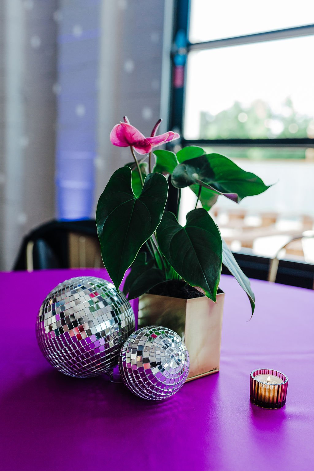 REAL EVENT: INDUSTRY NIGHT — The Social Collective