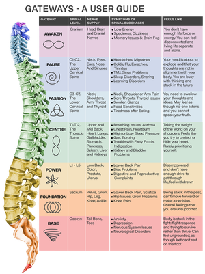 What To Expect In A Spinal Flow Therapy Session? [Guide] — Saltwater ...