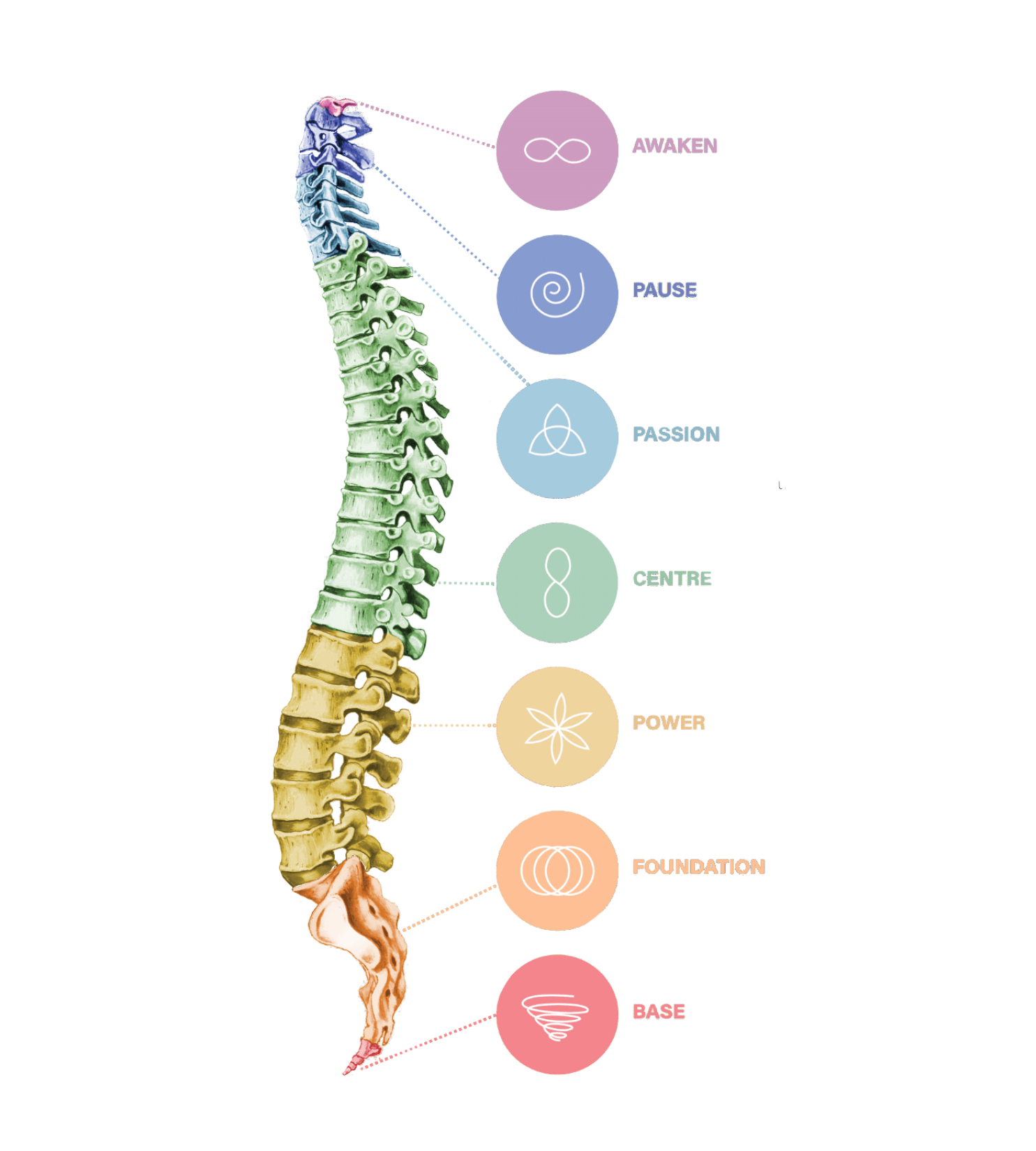 Saltwater Spinal Flow in Miami, Gold Coast - About Us — Saltwater ...