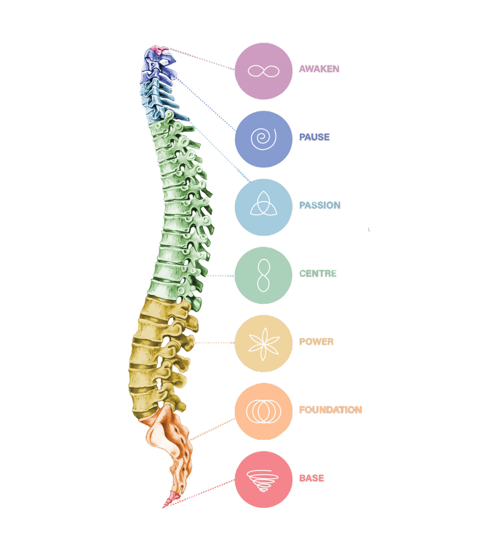 Saltwater Spinal Flow in Miami, Gold Coast - About Us — Saltwater ...