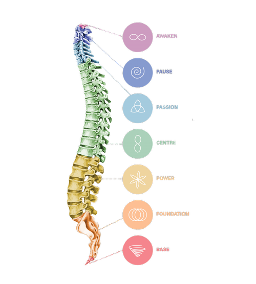 Saltwater Spinal Flow in Miami, Gold Coast - About Us — Saltwater ...