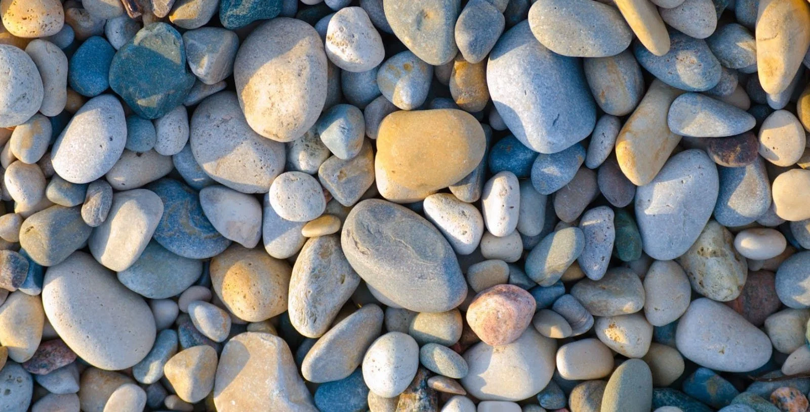 Stepping Stone Support Center