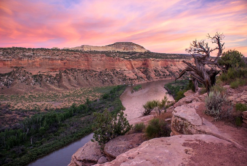 Valley Grown Nursery