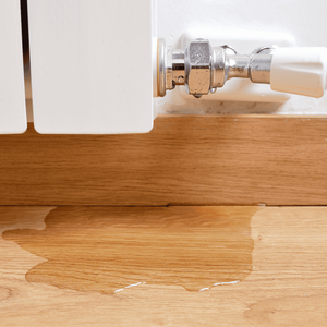 Prevent Bathroom Water Damage: The Hidden Leaks That Ruin Floors ...