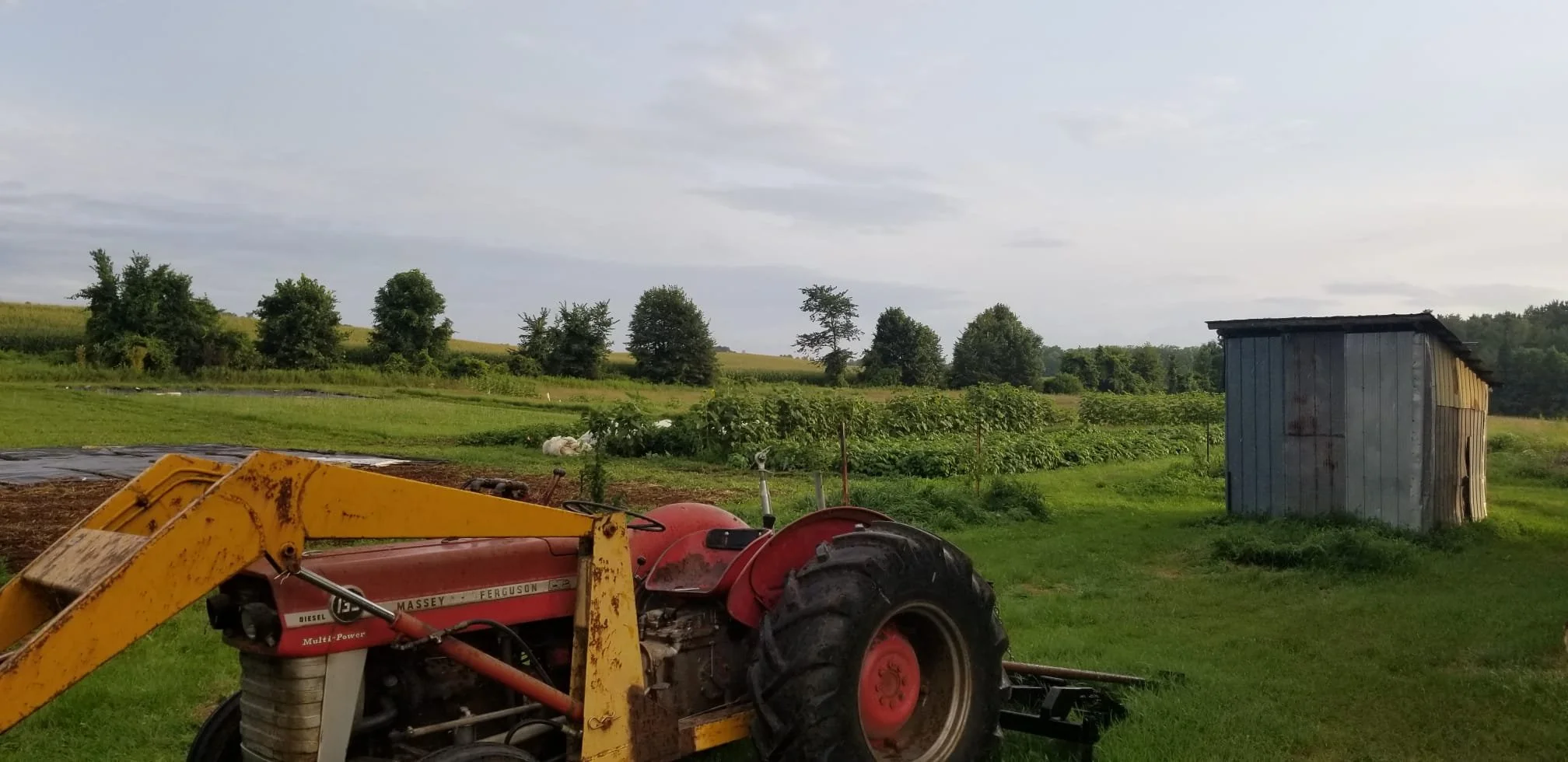 The Farm — Carrot Top Organics