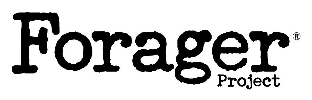 Catskill Mountain Yoga Festival