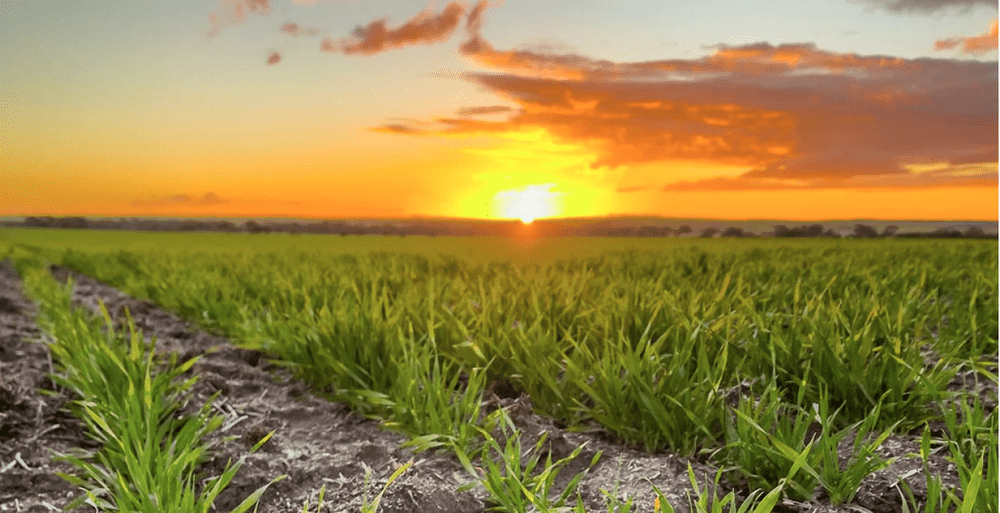 Sustainable Outcomes — Certified Sustainable