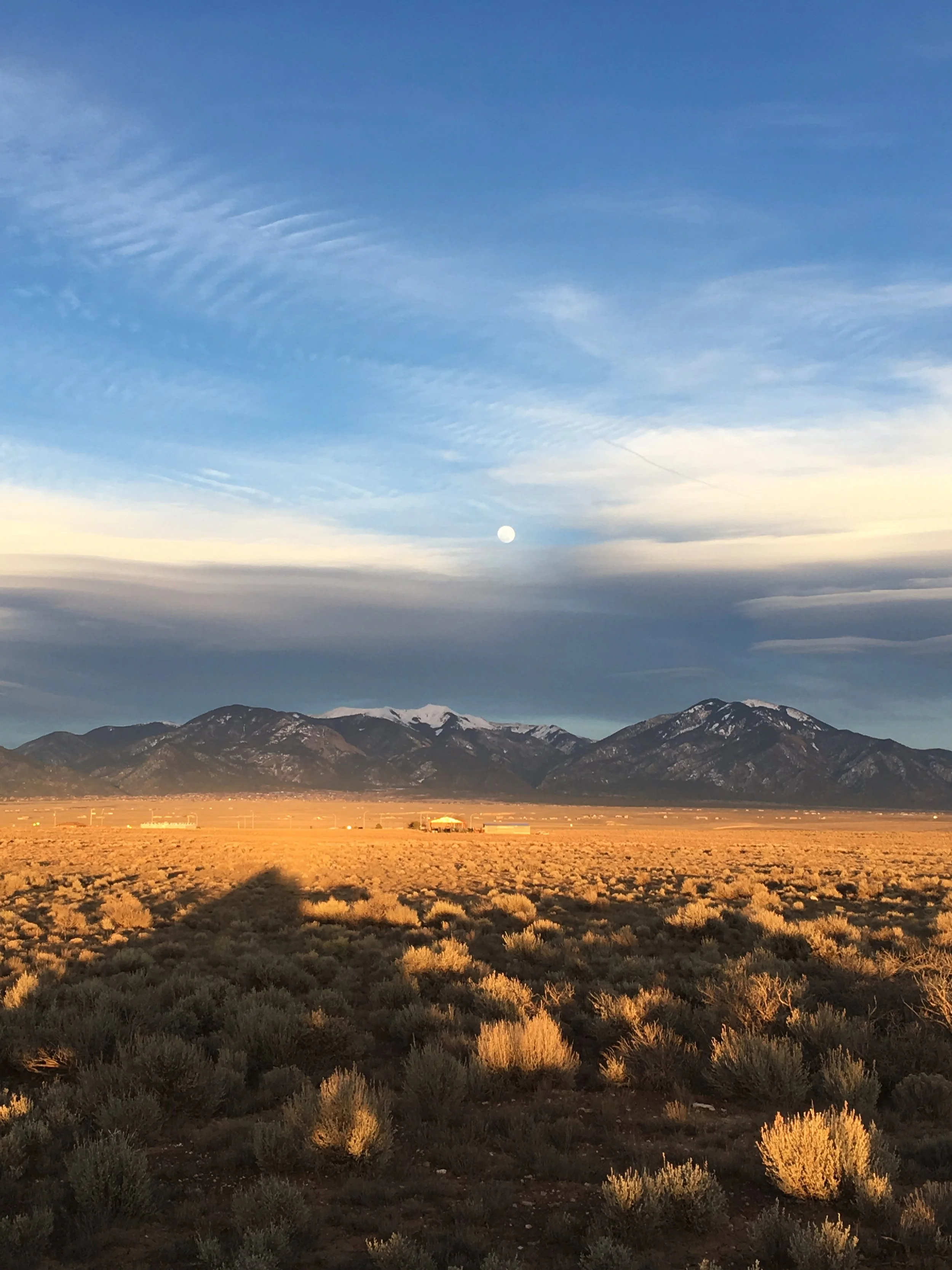 Daniel Ladinsky Official Blog — Daniel Ladinsky