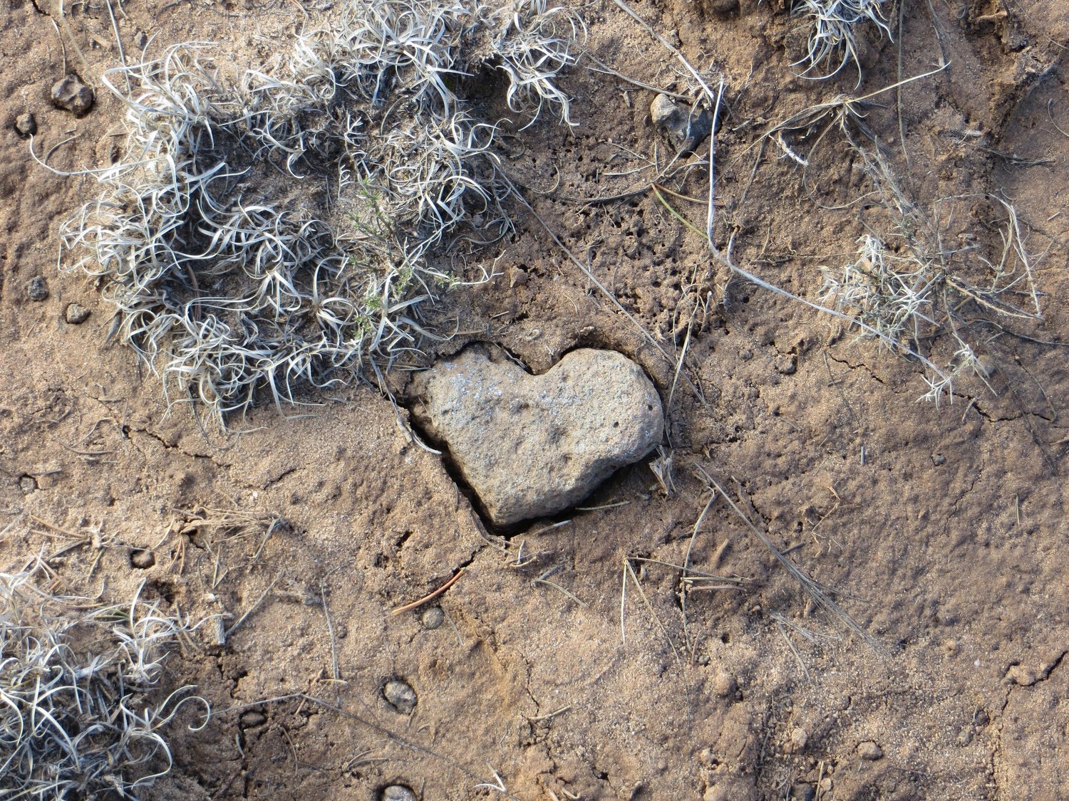 Daniel LadinskyOfficial Website