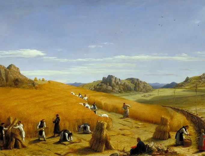 Catholic Land Movement