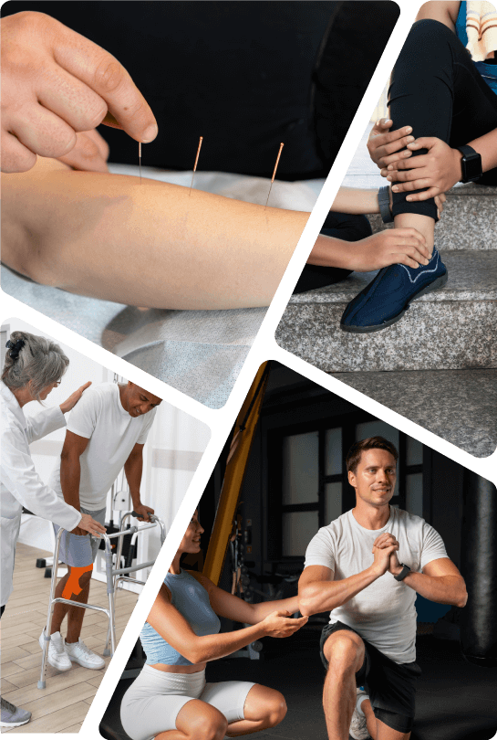 Physiotherapy LP — functionpcp