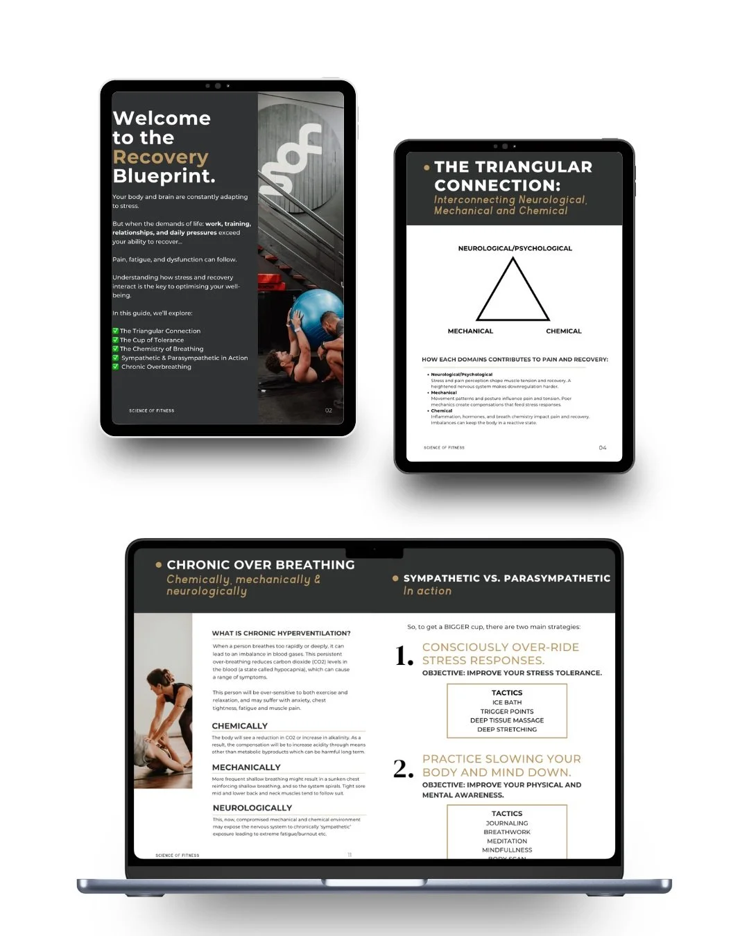 Free Resources | Enhance Your Wellbeing Today — Science of Fitness