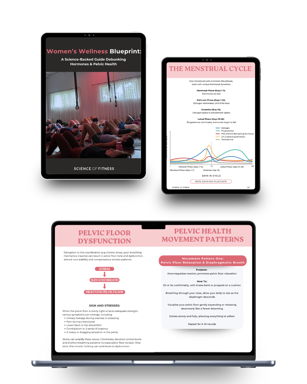 Free Resources | Enhance Your Wellbeing Today — Science of Fitness
