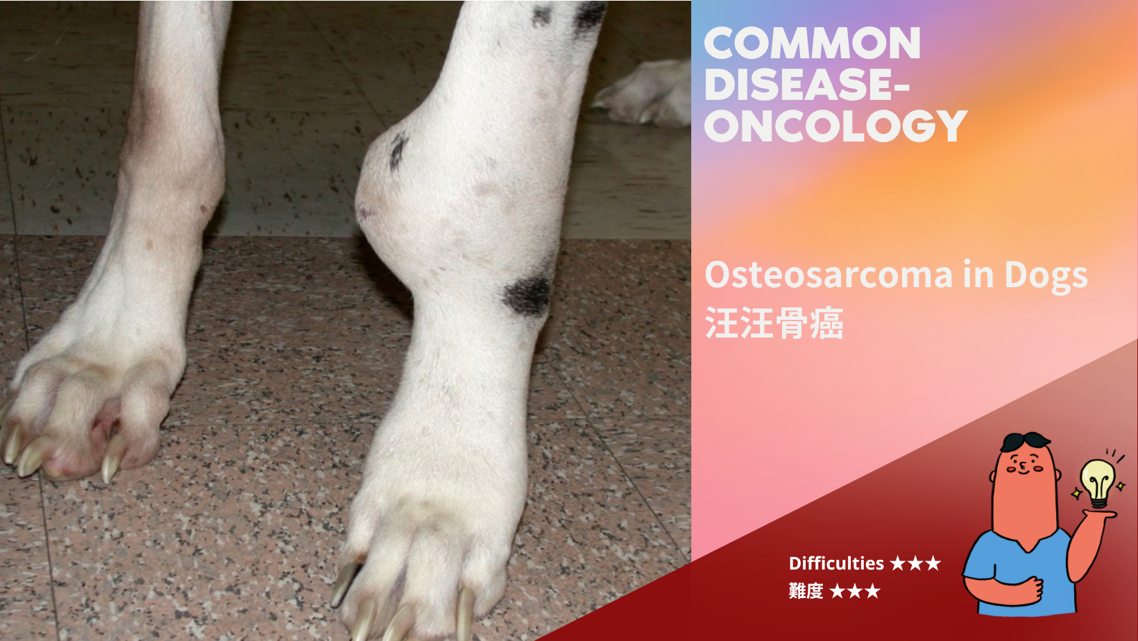 汪汪骨癌 Osteosarcoma in Dogs (難度: ★★★) — Nerdy Vet Nurse