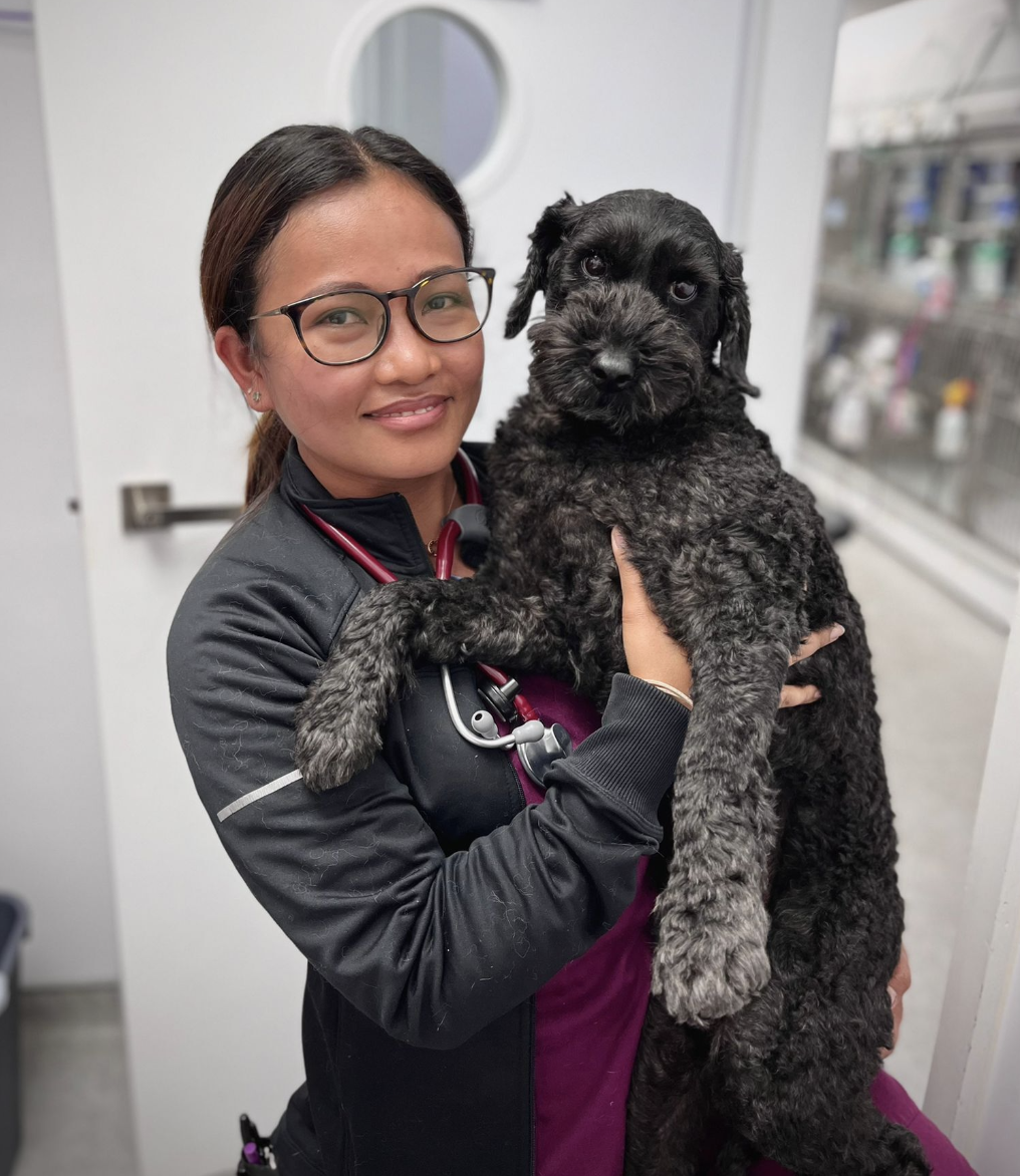 Nerdy Vet Nurse