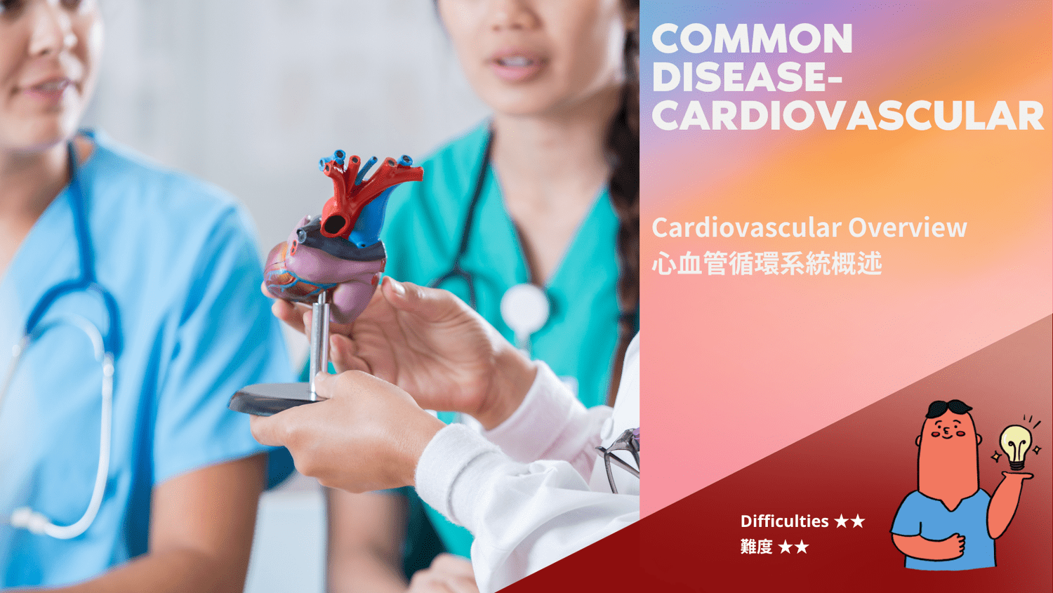 Cardiovascular/ Circulatory System Overview | 心血管循環系統概述 (難度: ★★) — Nerdy Vet Nurse