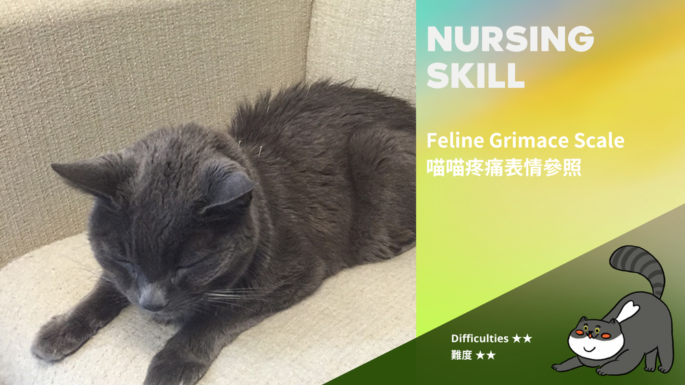 喵喵疼痛表情參照Feline Grimace Scale (難度: ★★) — Nerdy Vet Nurse